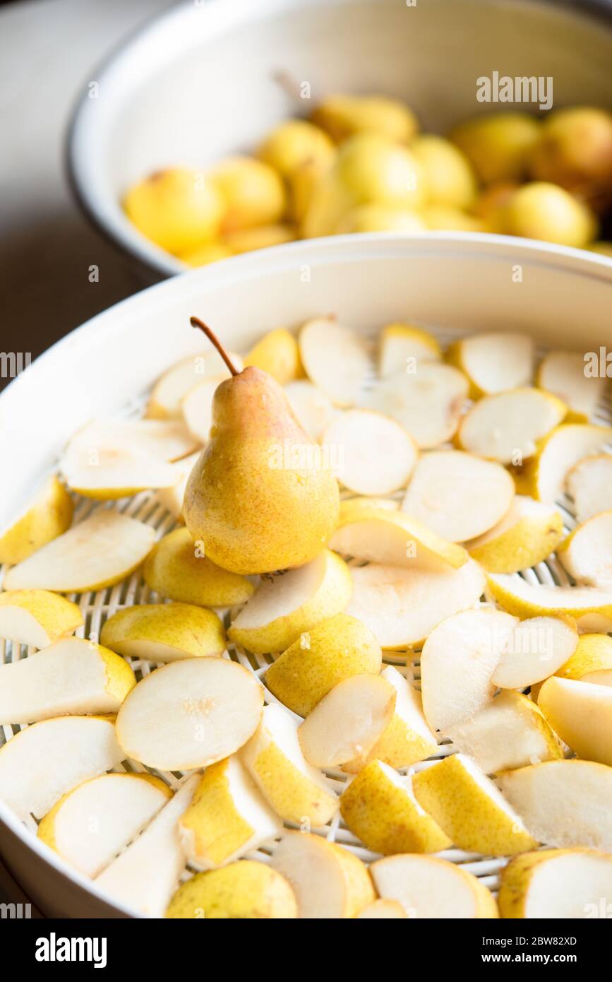 Homemade drying dehydration process of pears in slices Stock Photo - Alamy
