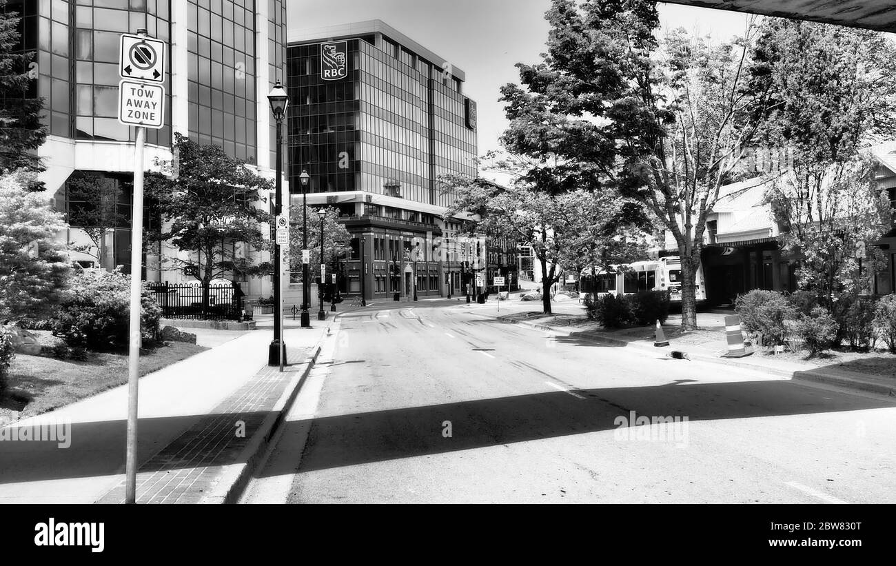 Day 80 Of The Apocalypse in Halifax Nova Scotia Canada. The streets of ...