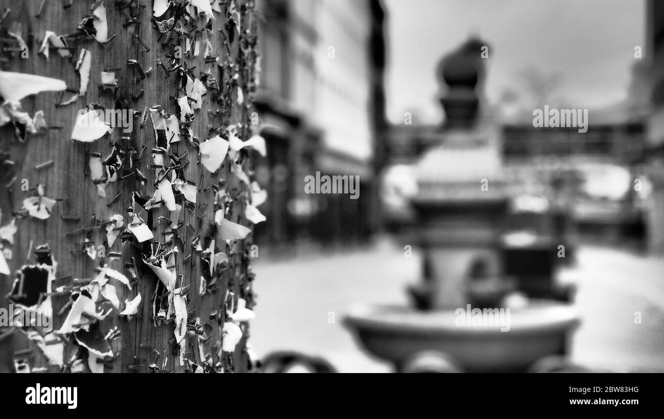 Day 80 Of The Apocalypse in Halifax Nova Scotia Canada. The streets of ...