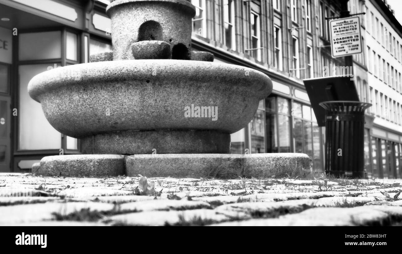 Day 80 Of The Apocalypse in Halifax Nova Scotia Canada. The streets of ...