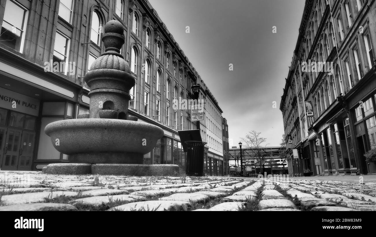 Day 80 Of The Apocalypse in Halifax Nova Scotia Canada. The streets of ...