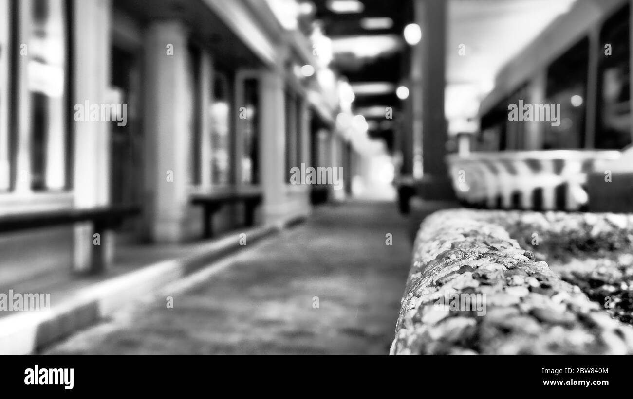 Day 80 Of The Apocalypse in Halifax Nova Scotia Canada. The streets of ...