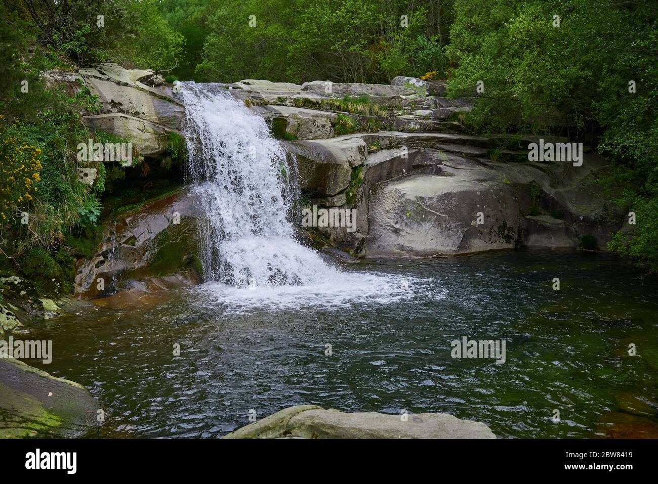 Natural pool with a waterfall Stock Photo - Alamy