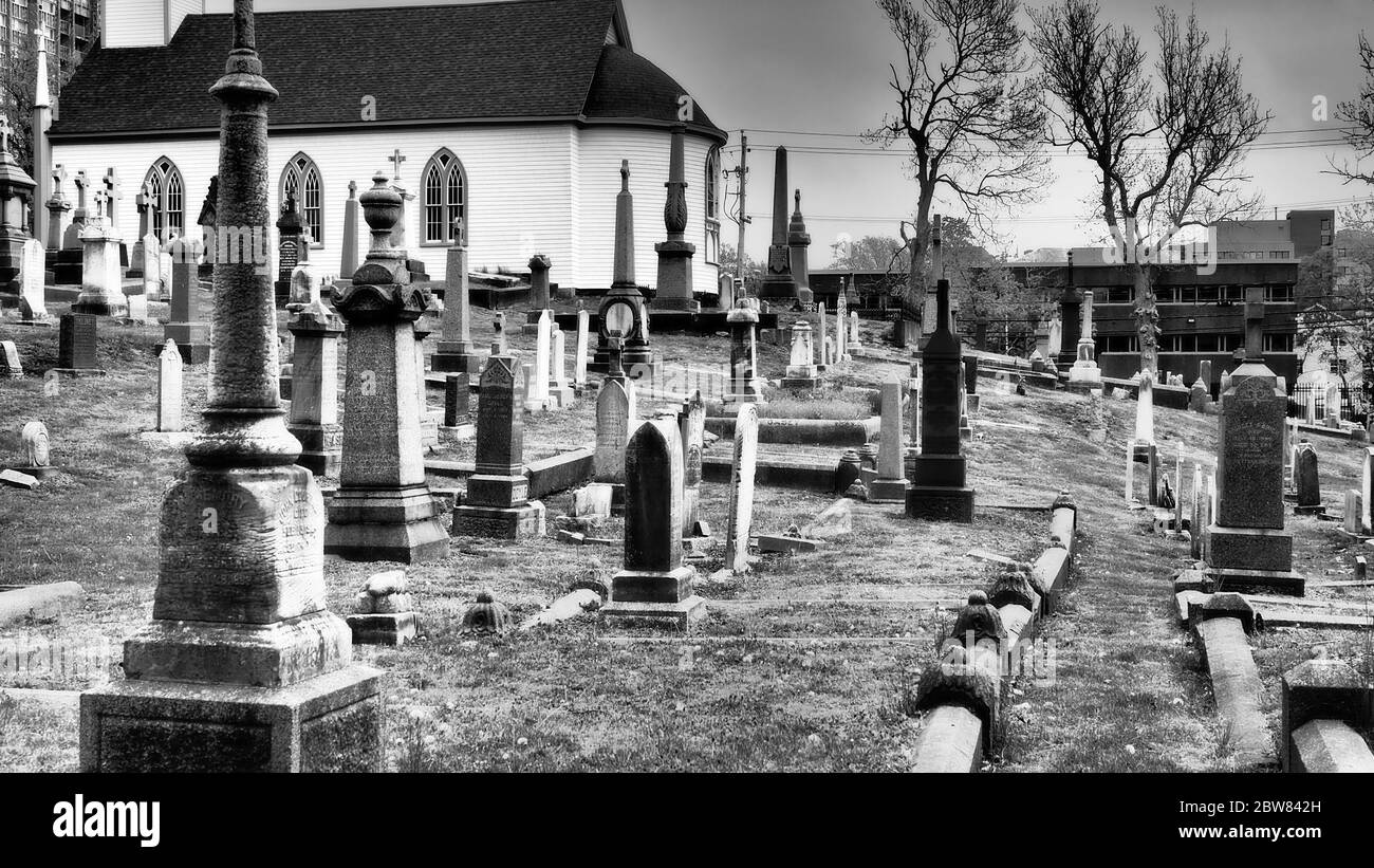 Day 80 Of The Apocalypse in Halifax Nova Scotia Canada. The streets of ...