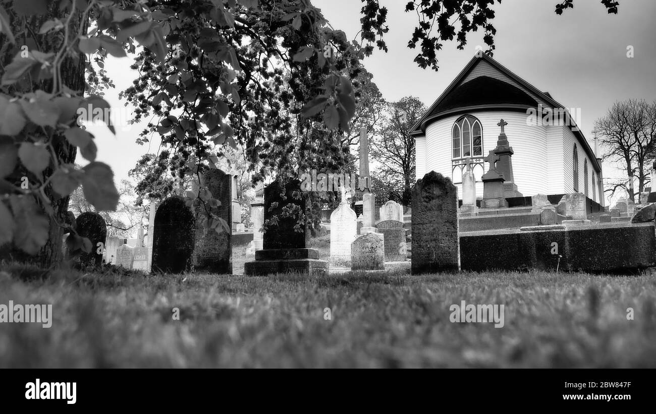 Day 80 Of The Apocalypse in Halifax Nova Scotia Canada. The streets of ...