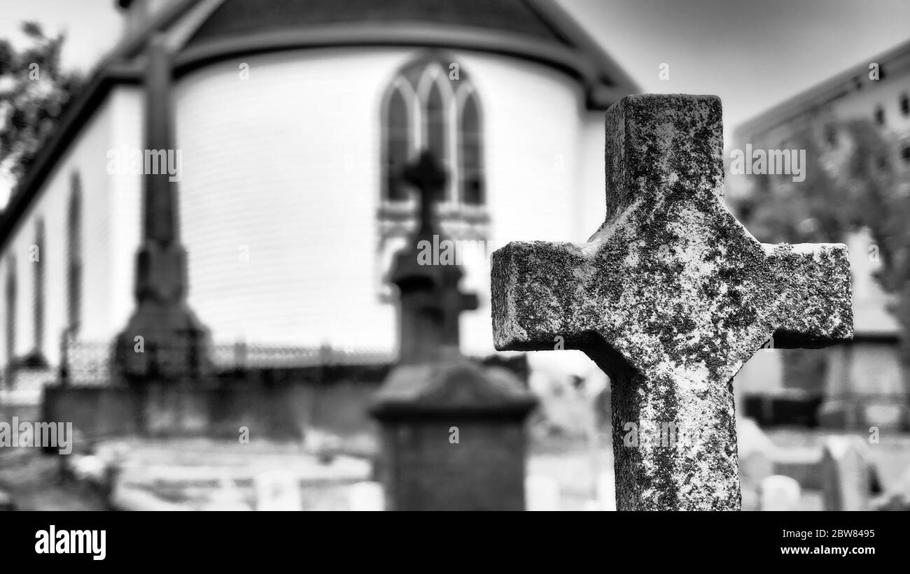 Day 80 Of The Apocalypse in Halifax Nova Scotia Canada. The streets of ...