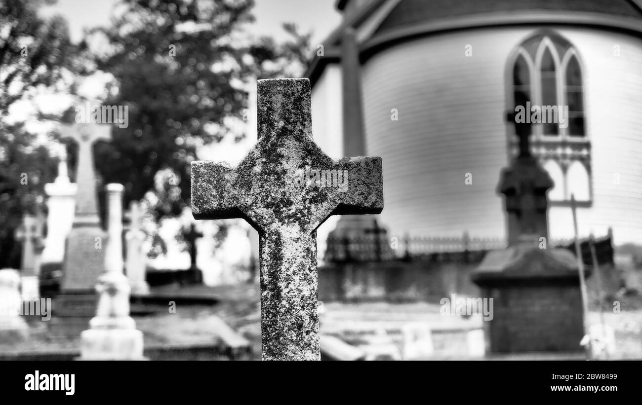 Day 80 Of The Apocalypse in Halifax Nova Scotia Canada. The streets of ...