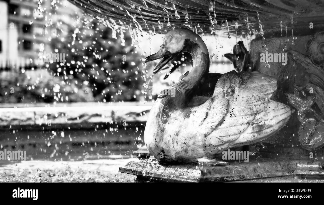 Day 80 Of The Apocalypse in Halifax Nova Scotia Canada. The streets of ...