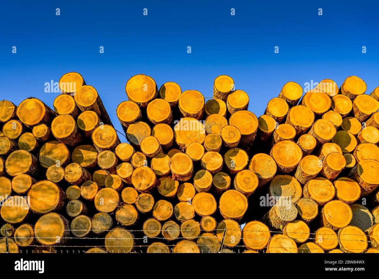 The Lumber Yard High Resolution Stock Photography and Images - Alamy