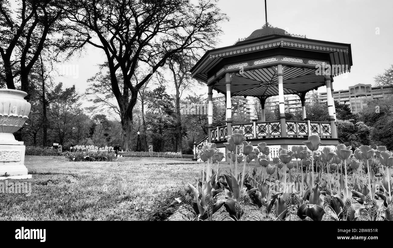 Day 80 Of The Apocalypse in Halifax Nova Scotia Canada. The streets of ...