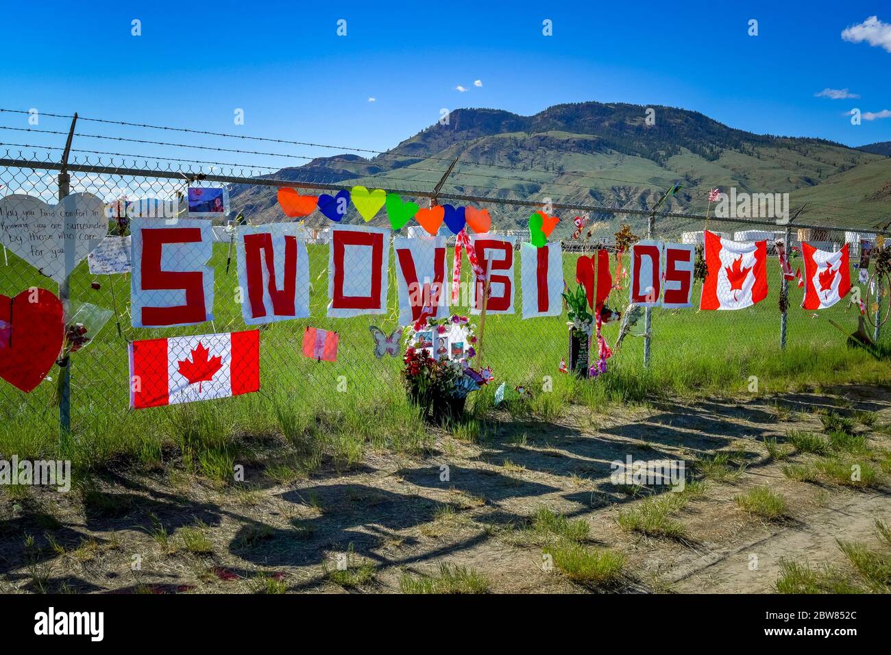 Jennifer casey snowbird hi-res stock photography and images - Alamy