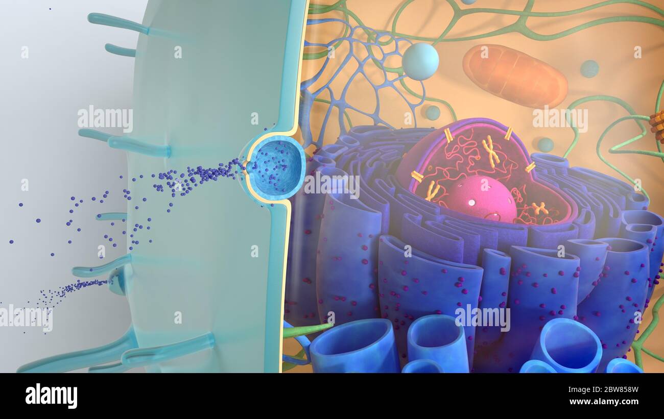 3d render. 3d illustration cell modell Stock Photo - Alamy