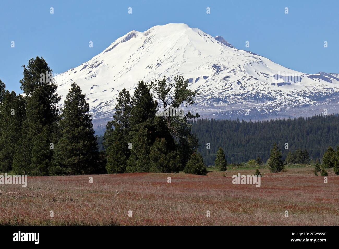 Mount Adams in Washington state, United States pictured in May 2020 ...