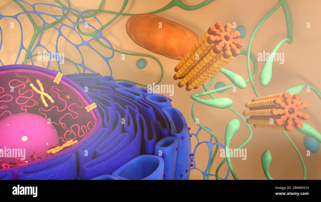 3d render. 3d illustration cell modell Stock Photo - Alamy