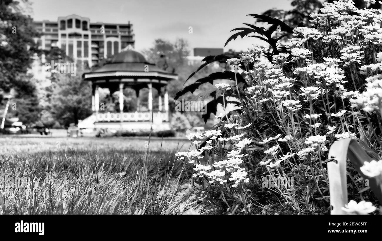 Day 80 Of The Apocalypse in Halifax Nova Scotia Canada. The streets of ...
