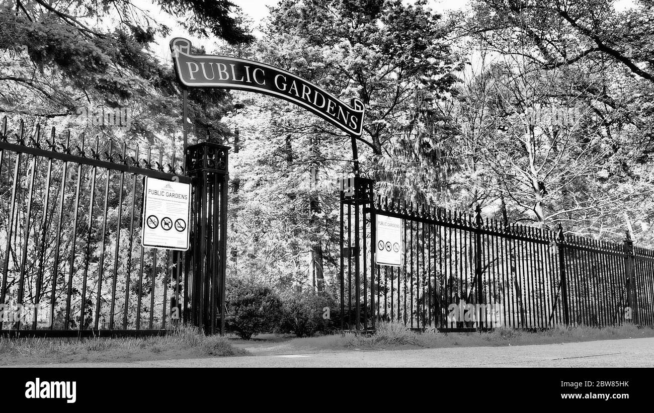 Day 80 Of The Apocalypse in Halifax Nova Scotia Canada. The streets of ...