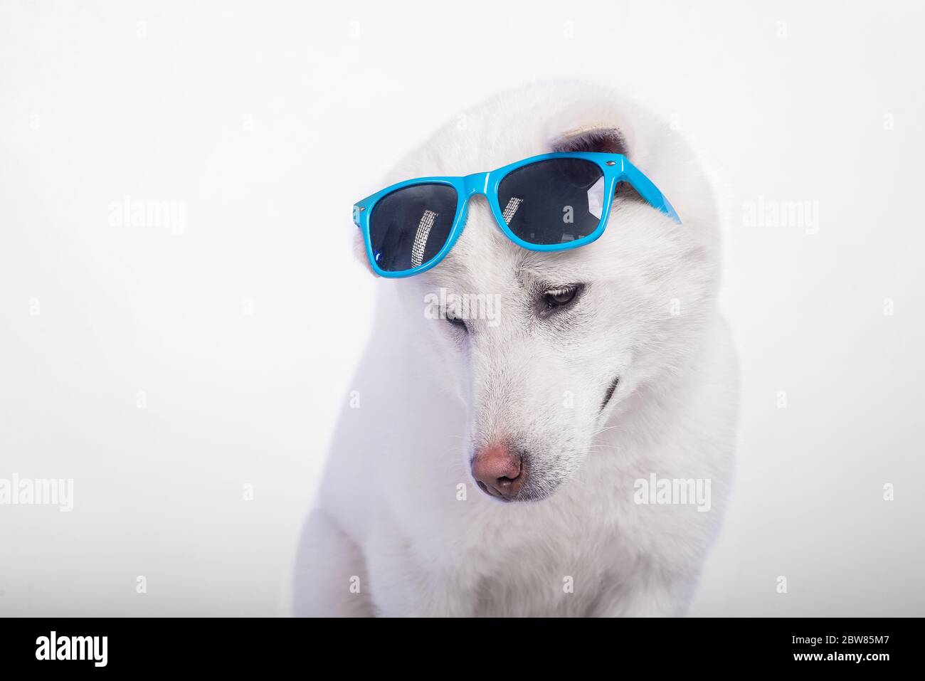Middle size hi-res stock photography and images - Alamy