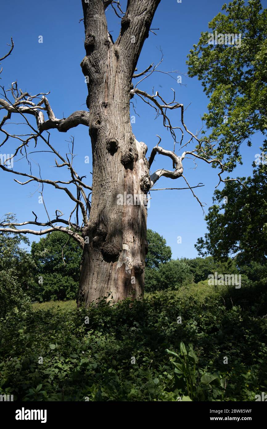 A country walk including the grounds of Keele Hall within Keele ...