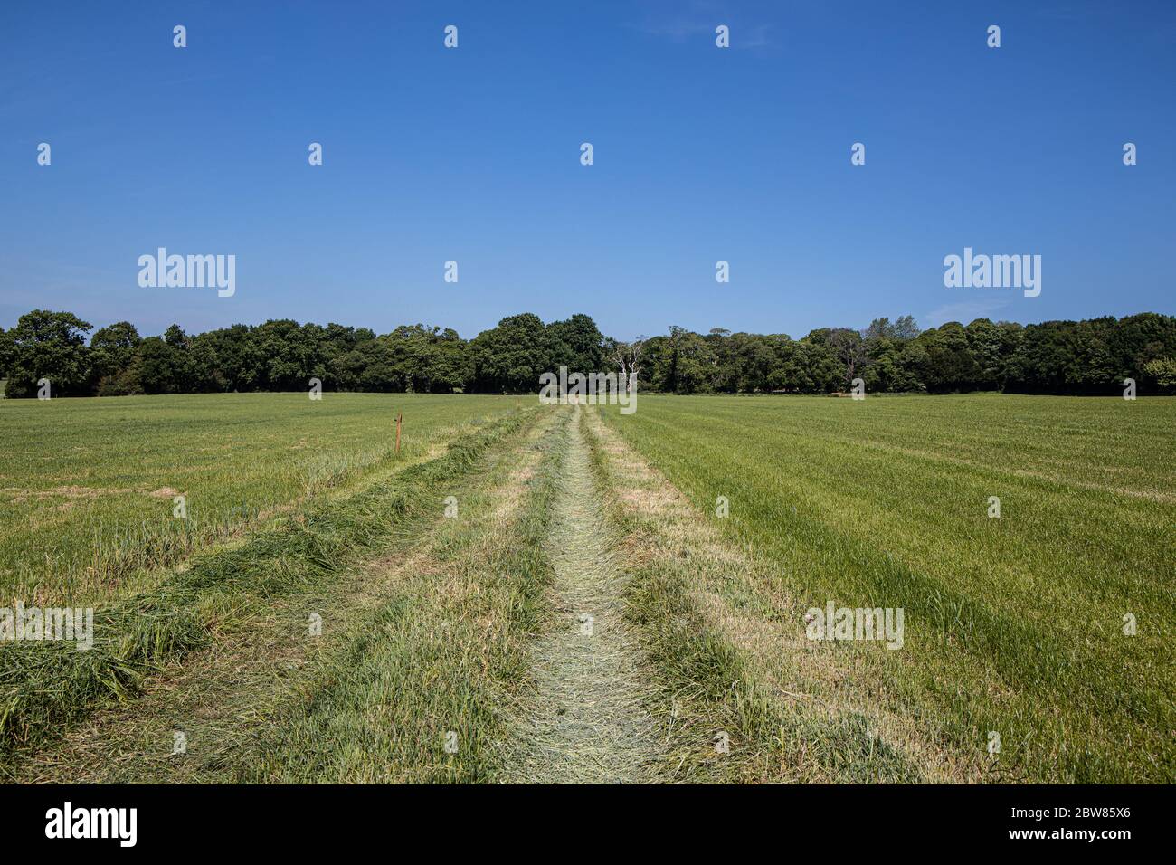 A country walk including the grounds of Keele Hall within Keele ...