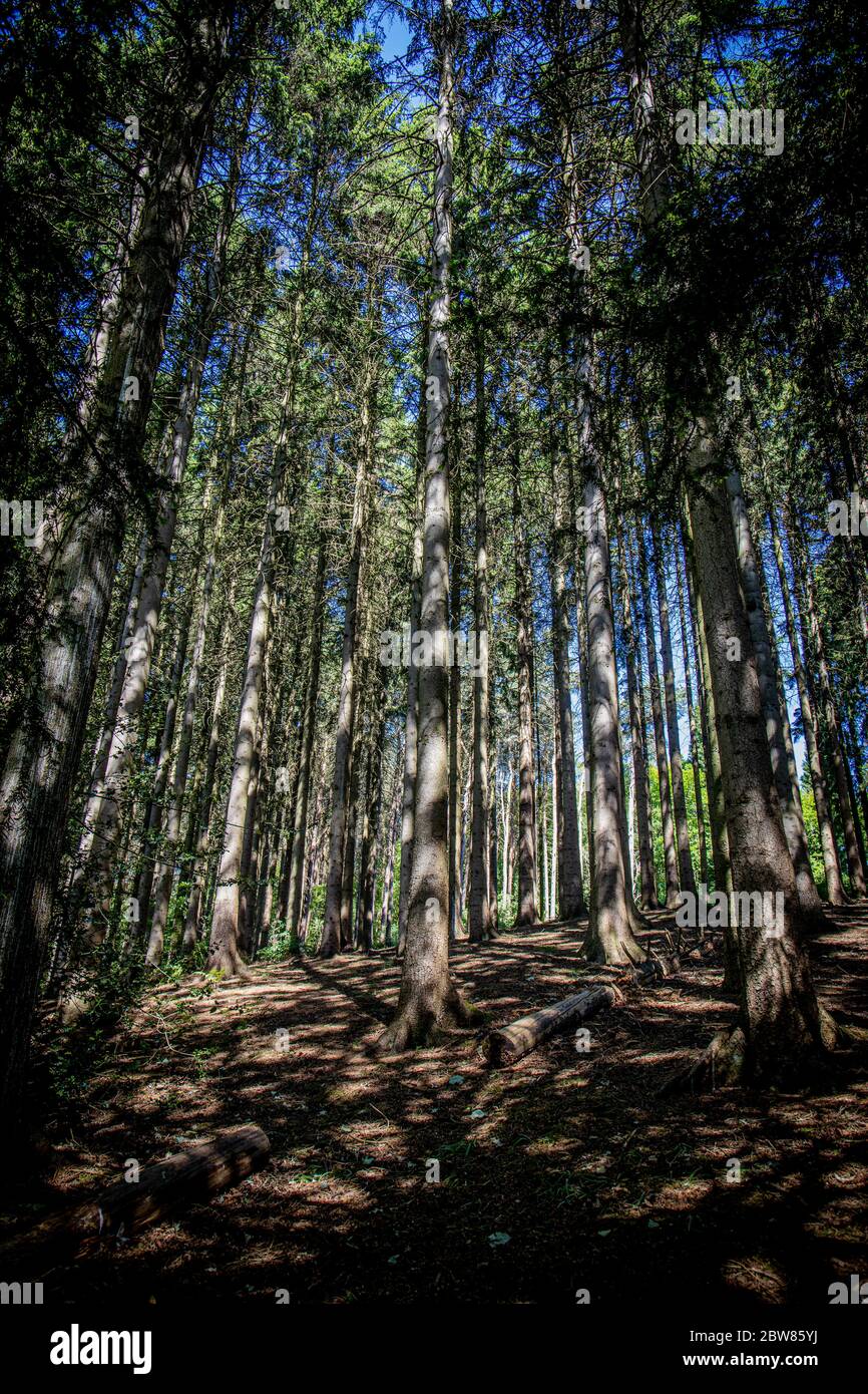 Keele grounds hi-res stock photography and images - Alamy