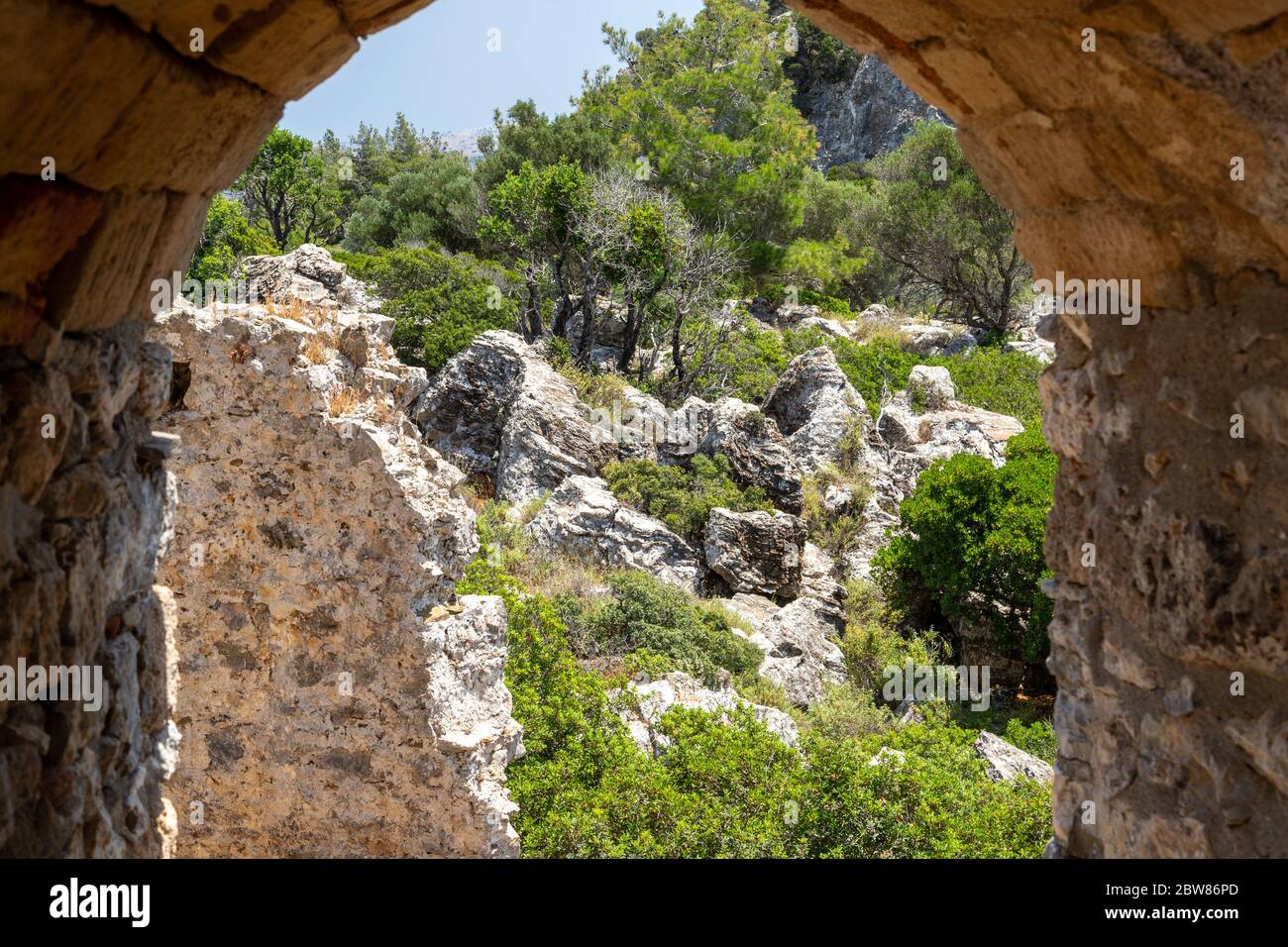 Sunshine through tree arch hi-res stock photography and images - Alamy