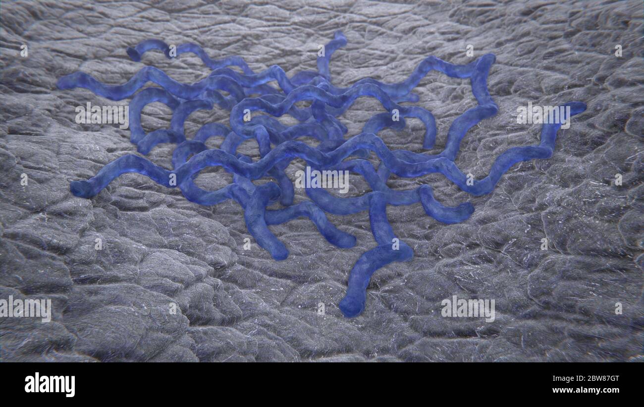 3d illustration of bacteria deadly syphilis lues disease Stock Photo ...