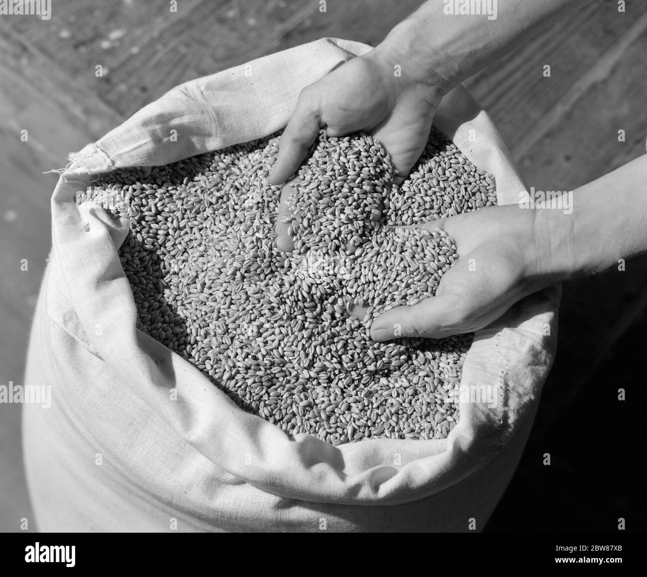 Large cloth hi-res stock photography and images - Alamy