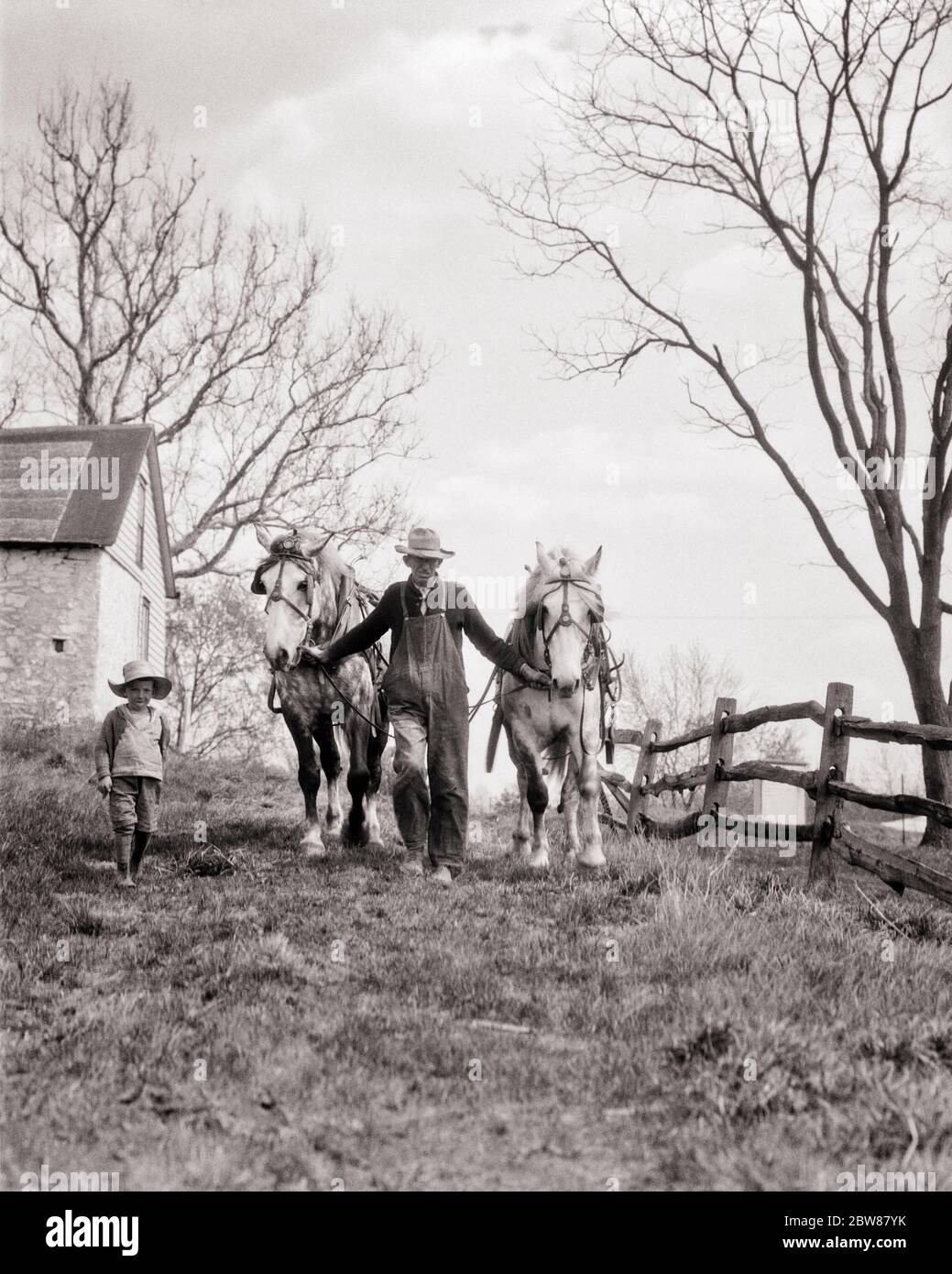 American Farming Photography