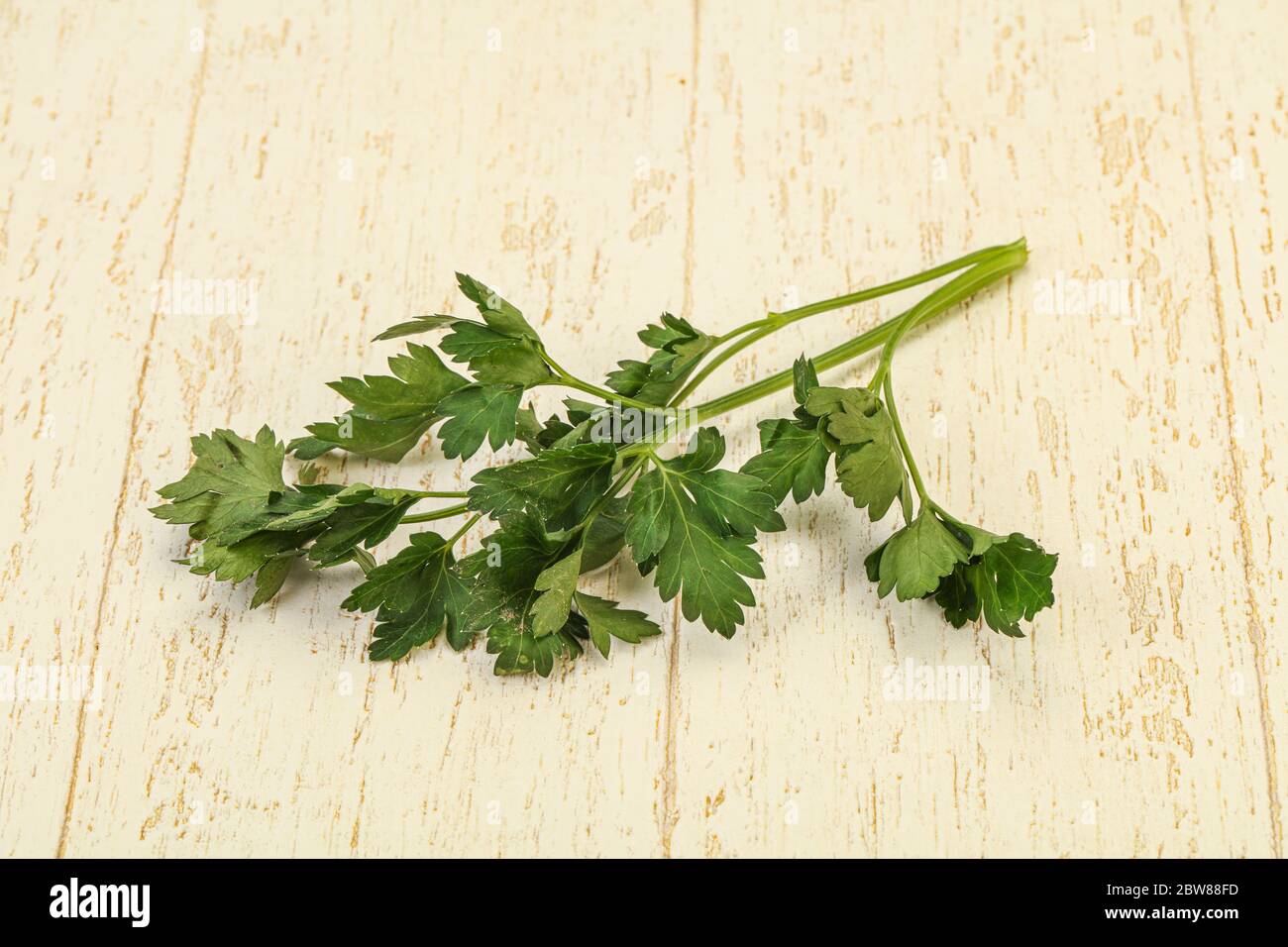 Aroma Green fresh parsley branch herb Stock Photo - Alamy