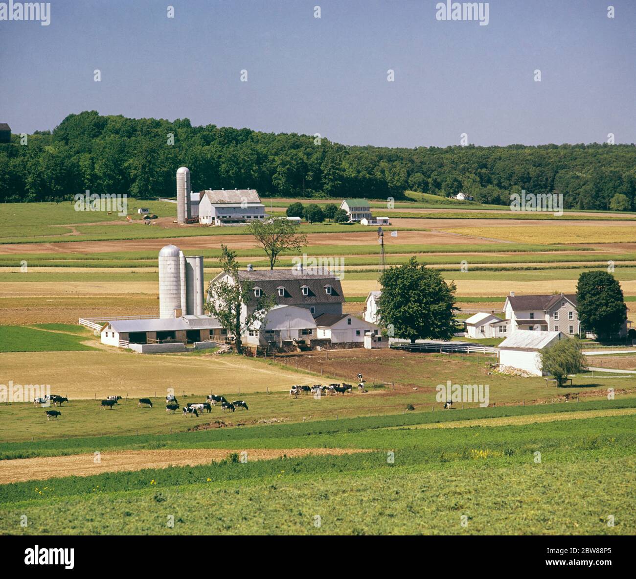 Amish community summertime hi-res stock photography and images - Alamy