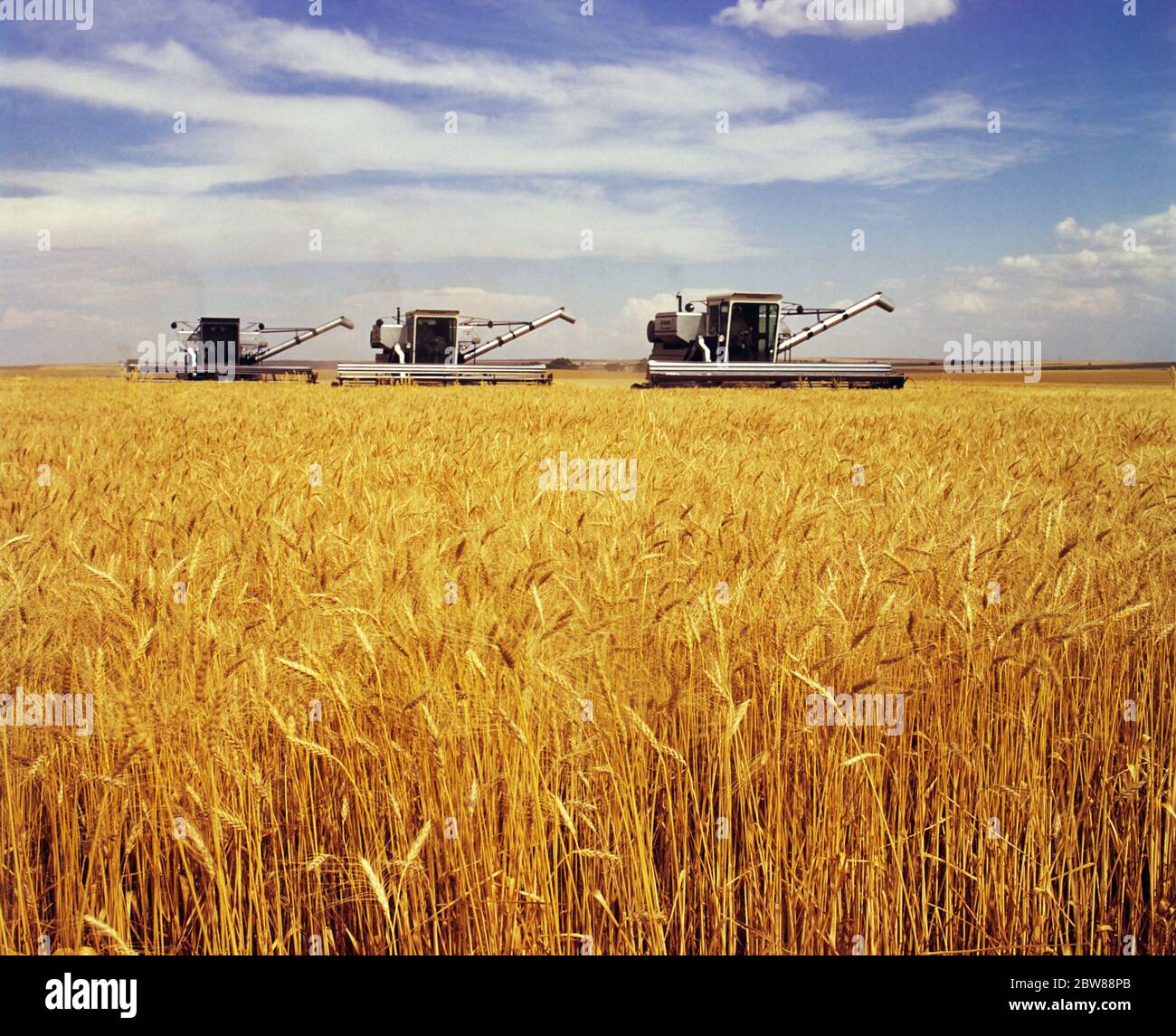 1970s SERIES OF THREE GRAIN HARVESTERS MOVING THROUGH WHEAT FIELD ...