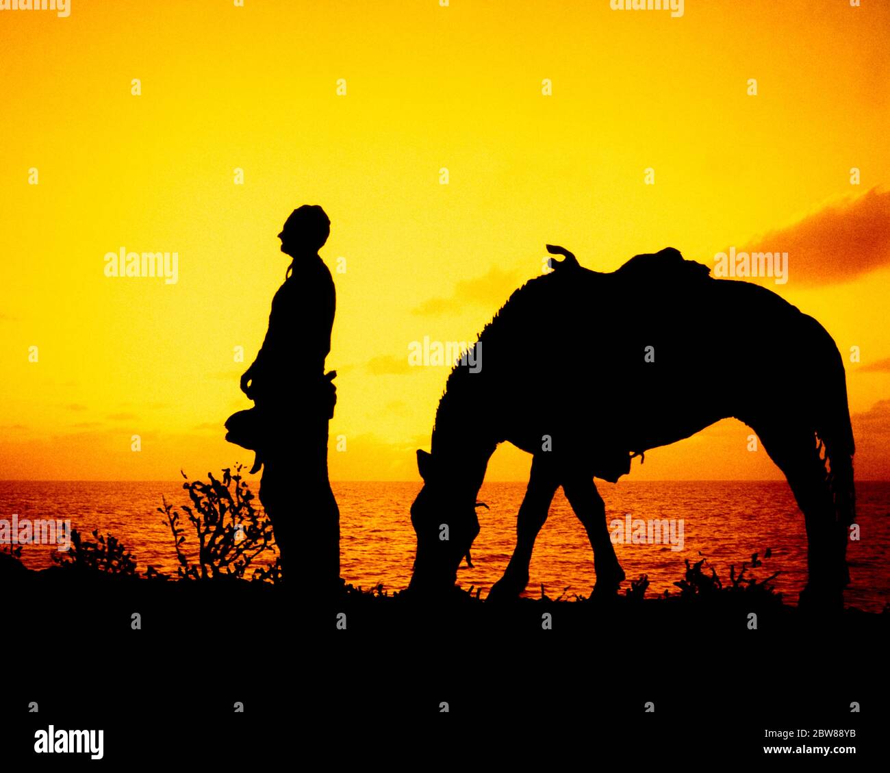 Cowboy praying with horse hi-res stock photography and images - Alamy