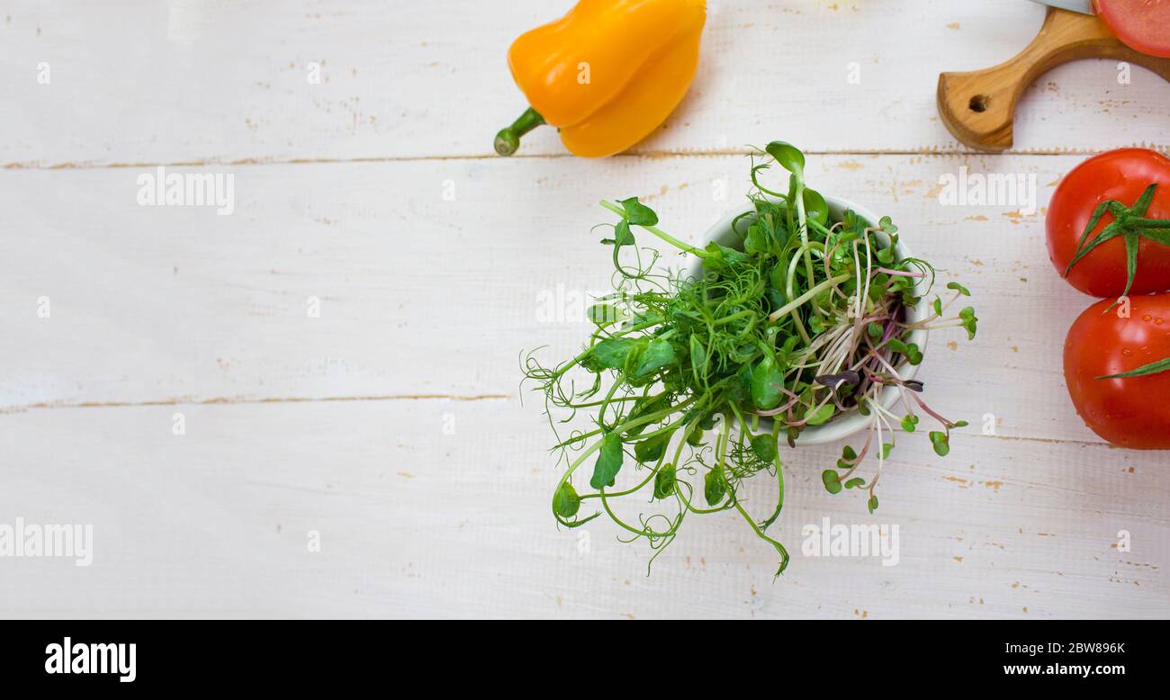 Beans microgreen. Microgreens. Healthy eating concept. Sprouted beans ...