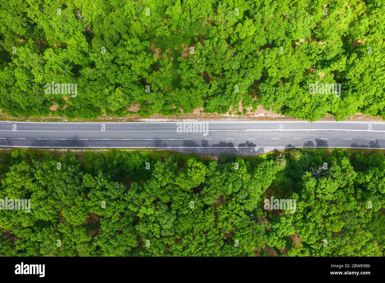 Tree drone hi-res stock photography and images - Alamy