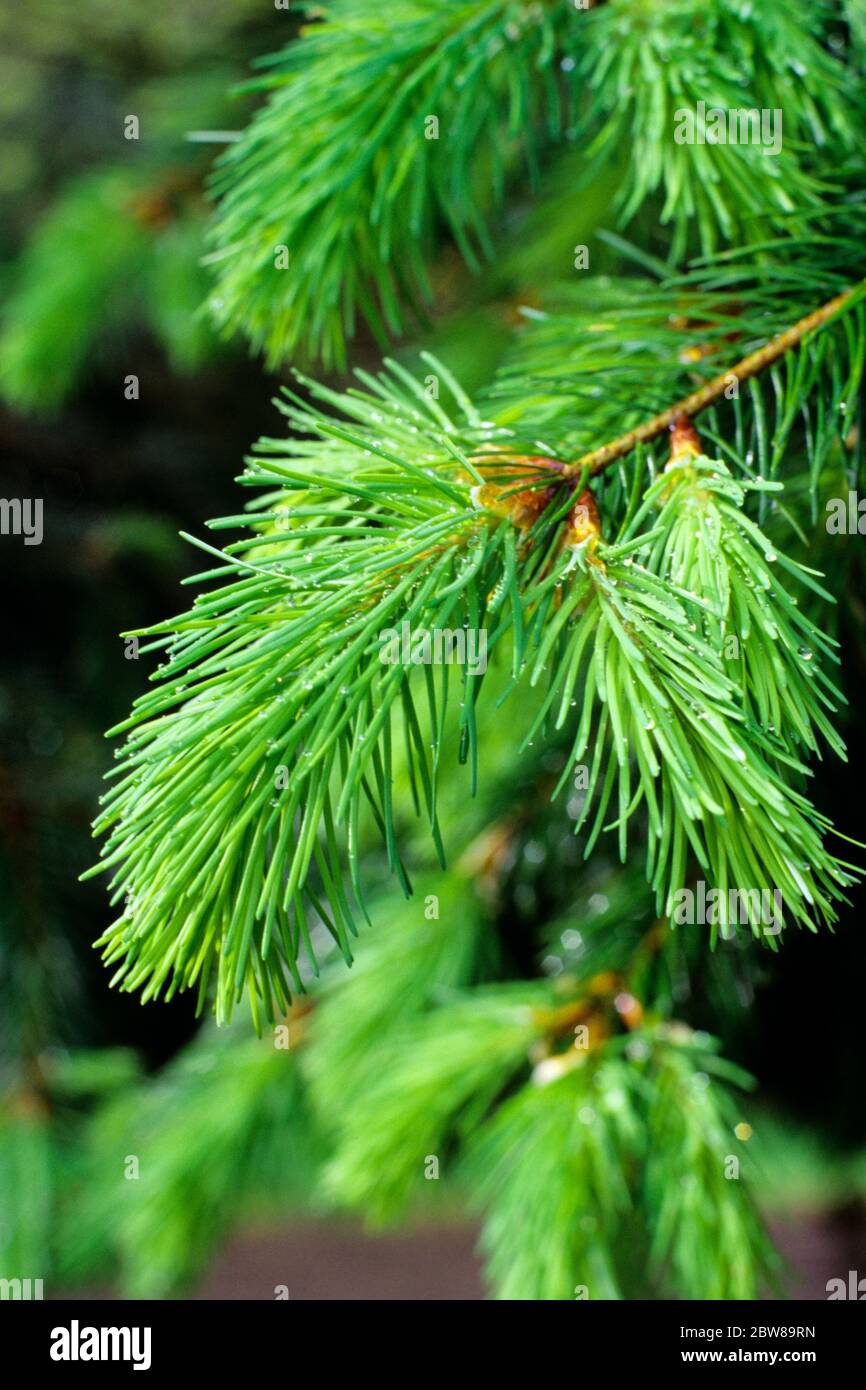 Symbols of new life nature hi-res stock photography and images - Alamy