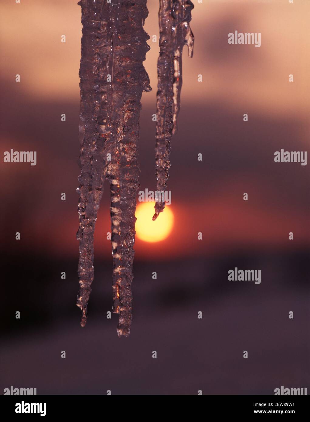 Hel001 hi-res stock photography and images - Alamy