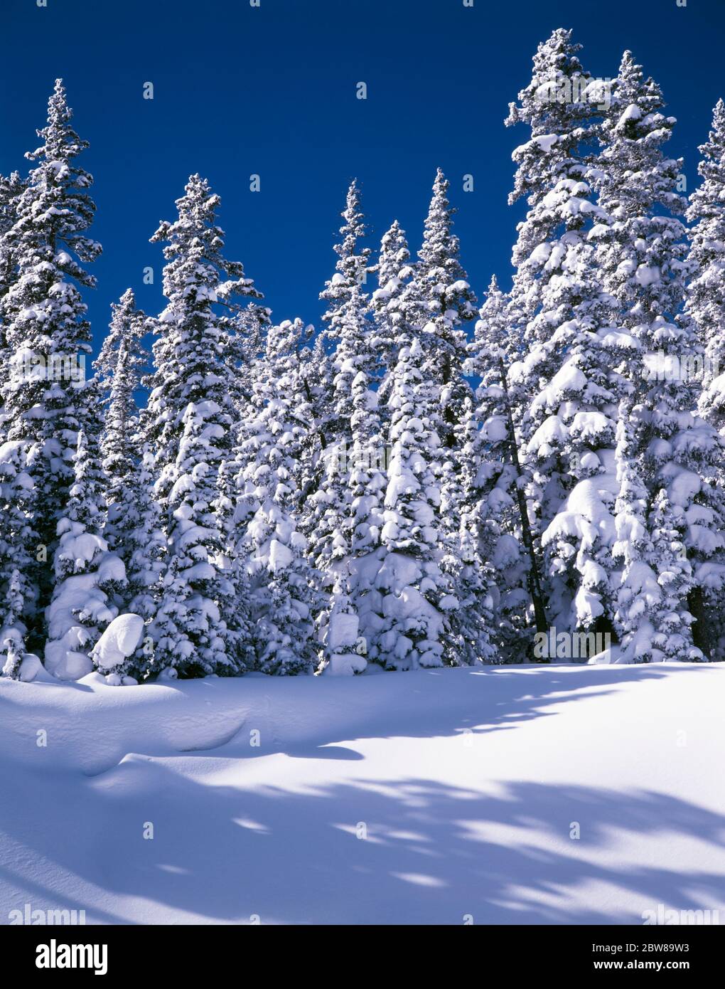 Monarch pass hi-res stock photography and images - Alamy