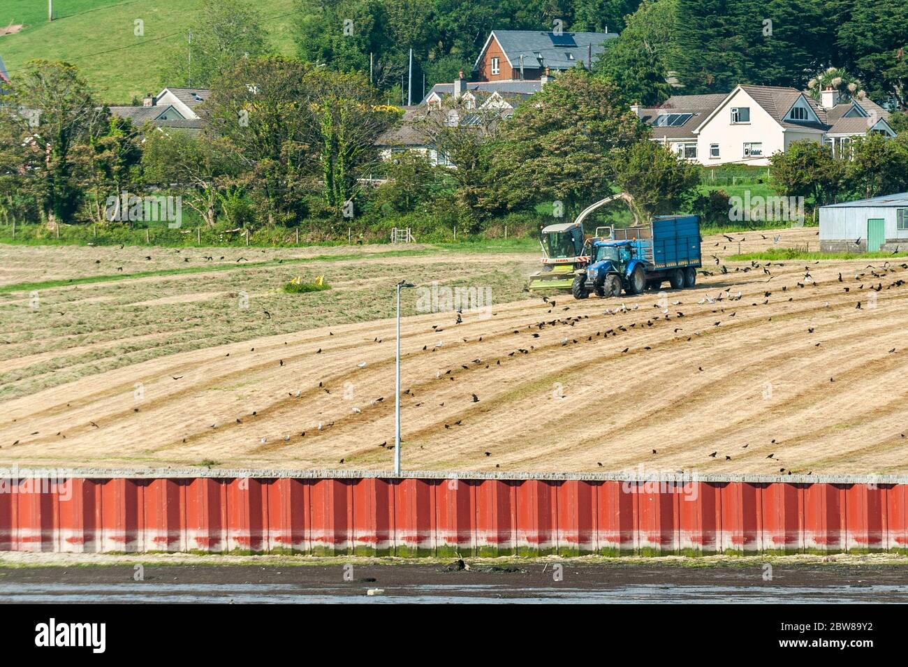 Clonakilty, West Cork, Ireland. 30th May, 2020. On a very hot and sunny ...