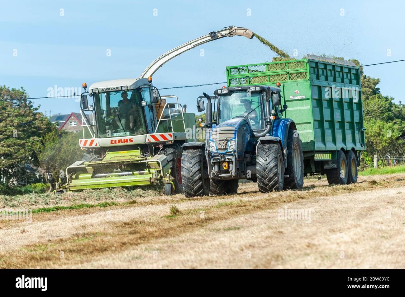 Blue west silage trailer hi-res stock photography and images - Alamy