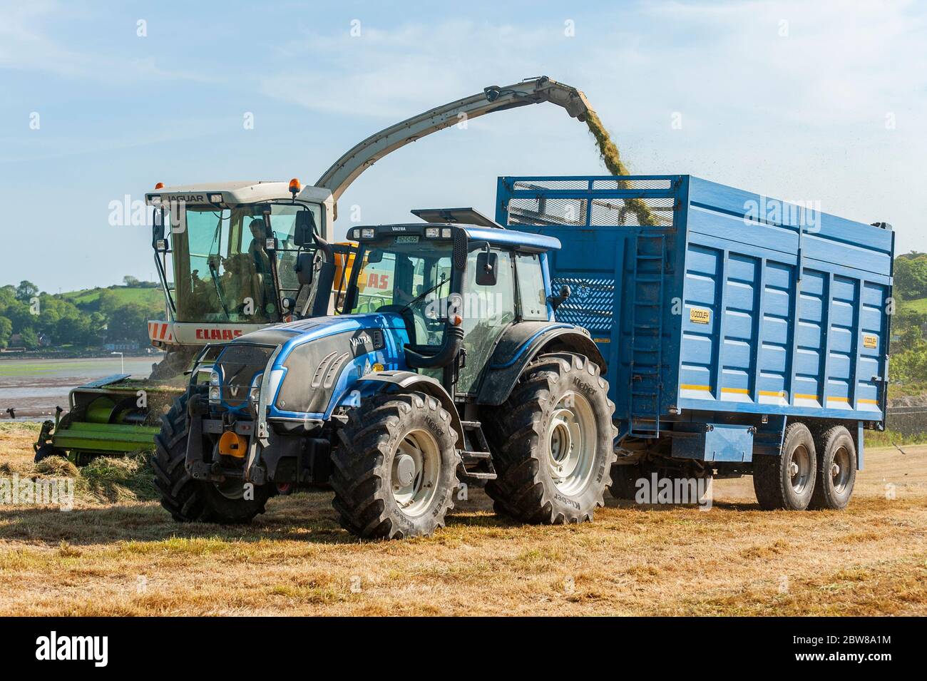 Clonakilty, West Cork, Ireland. 30th May, 2020. On a very hot and sunny ...