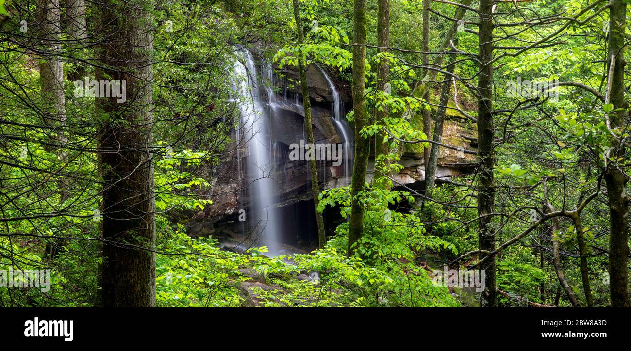 View of Slick Rock Falls (Panoramic Image) - Pisgah National Forest ...