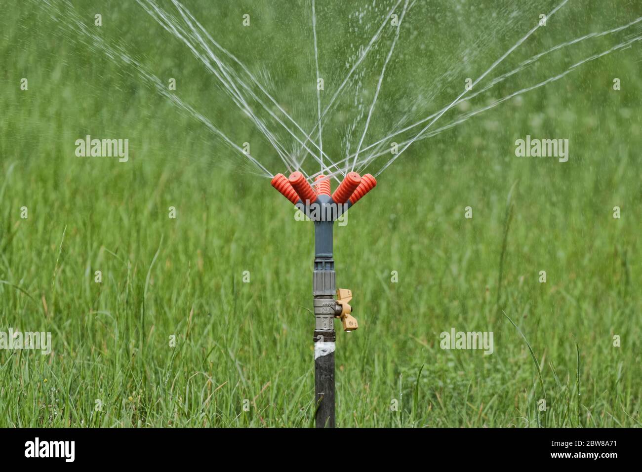 Watering fountains on a green meadow. A pipe with a tap sticks out of ...