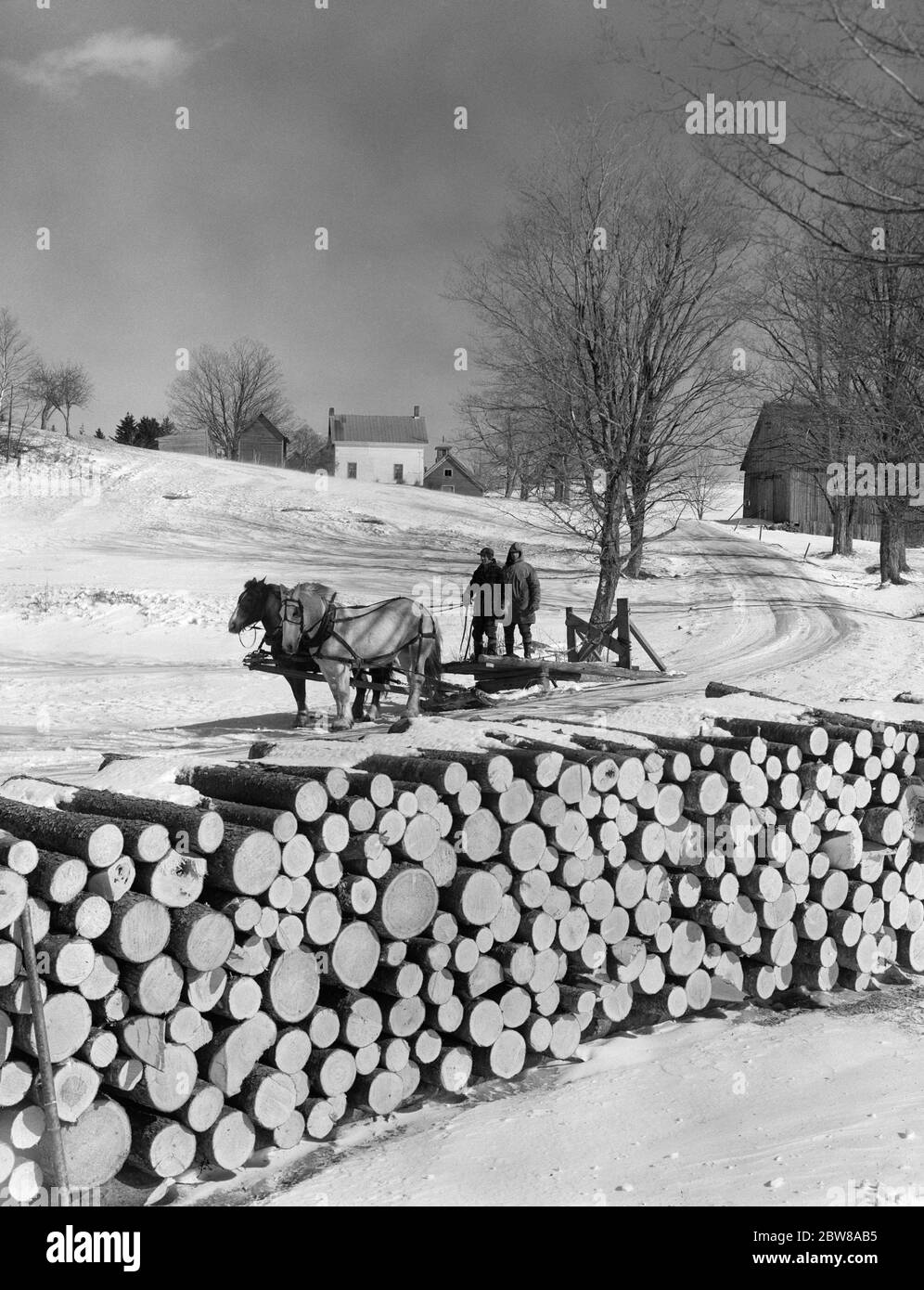 Historical horse drawn sleigh hi-res stock photography and images - Alamy