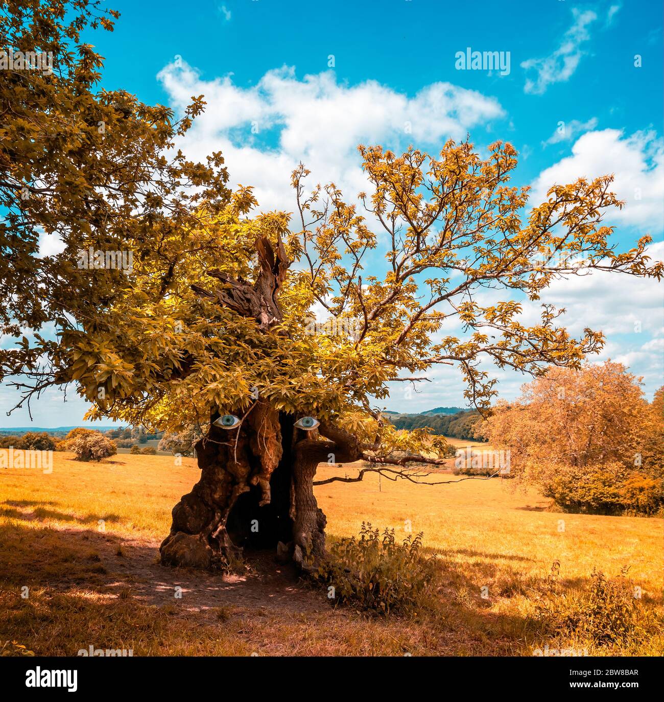 Ent lord of the rings hi-res stock photography and images - Alamy