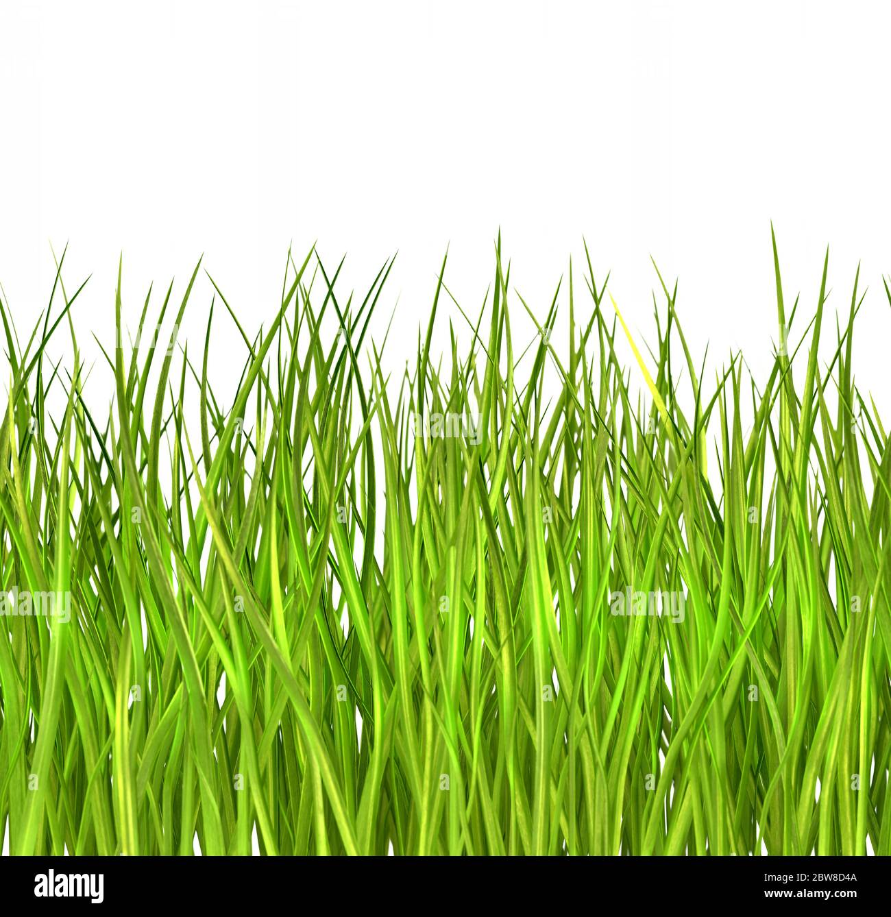 Grass texture hi-res stock photography and images - Alamy