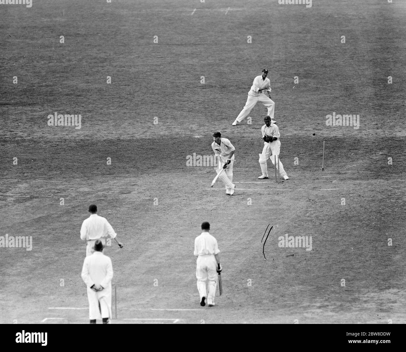 No need to widen the wicket . Hopwood ( Champion County ) has his ...