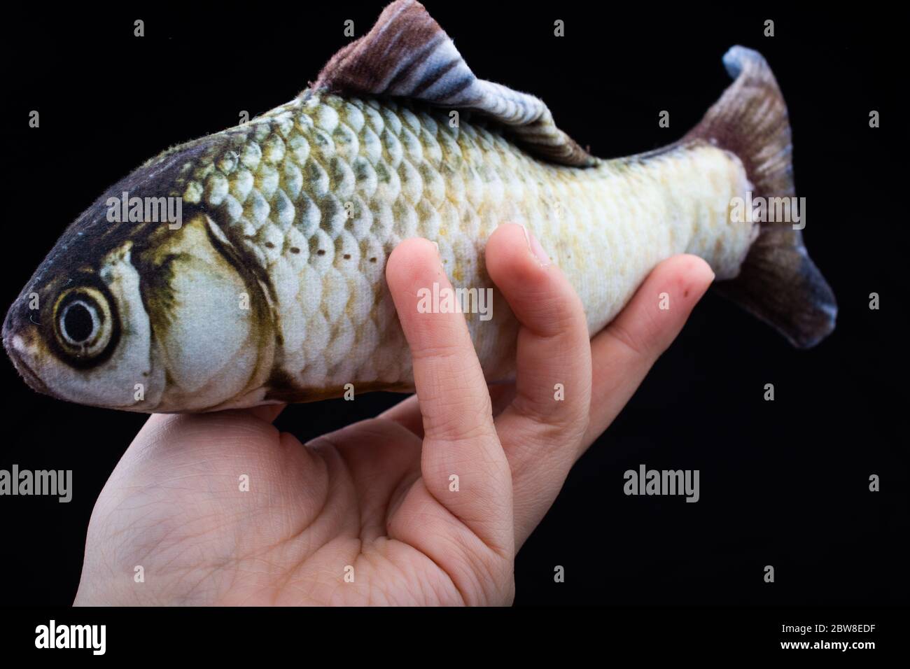 Fake swimming hi-res stock photography and images - Alamy