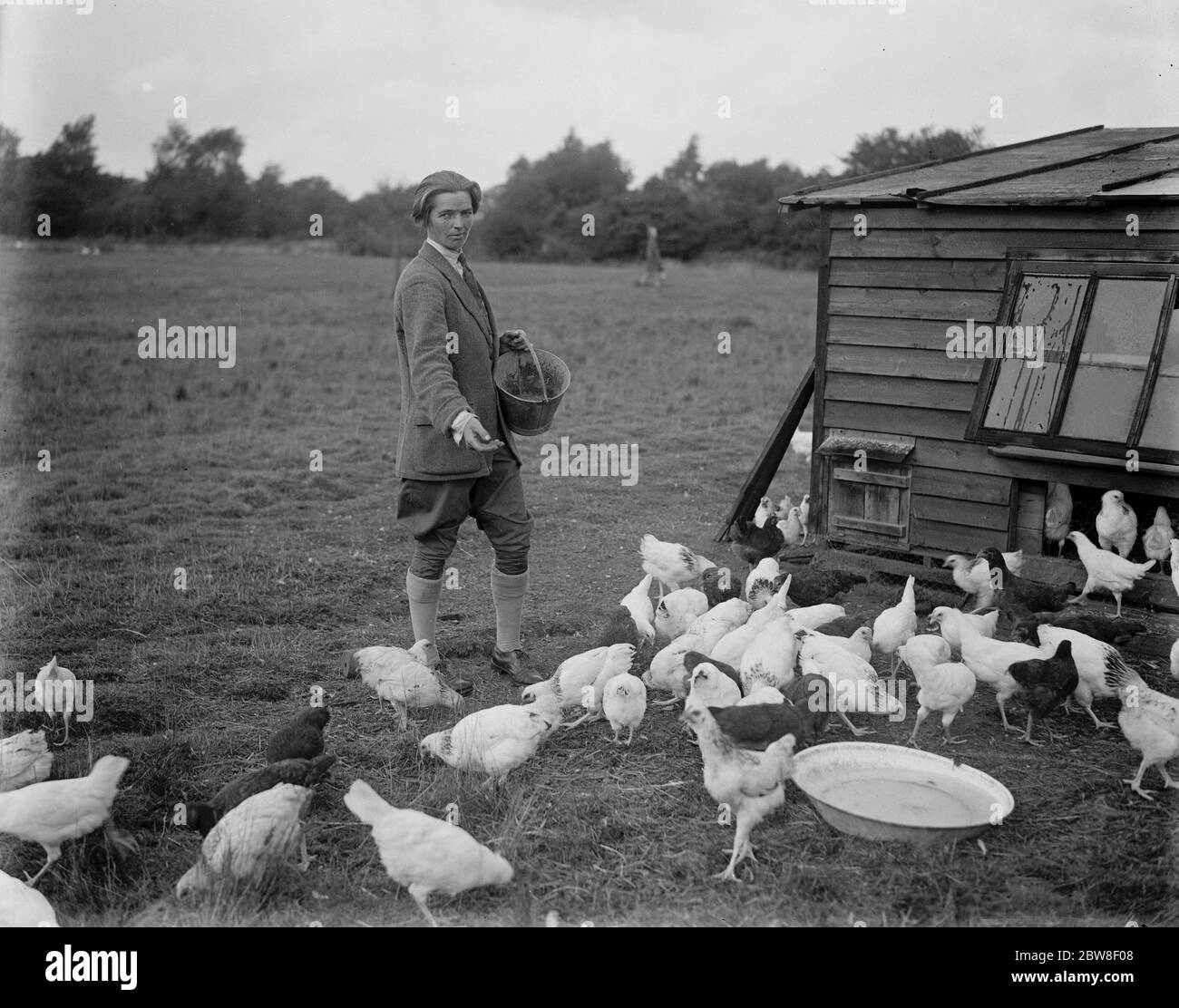 Home chicken farming Black and White Stock Photos & Images - Alamy