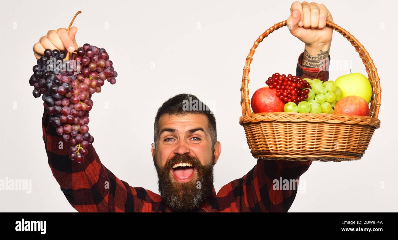 Guy with harvest. Man with beard holds basket with fruit and bunch of ...