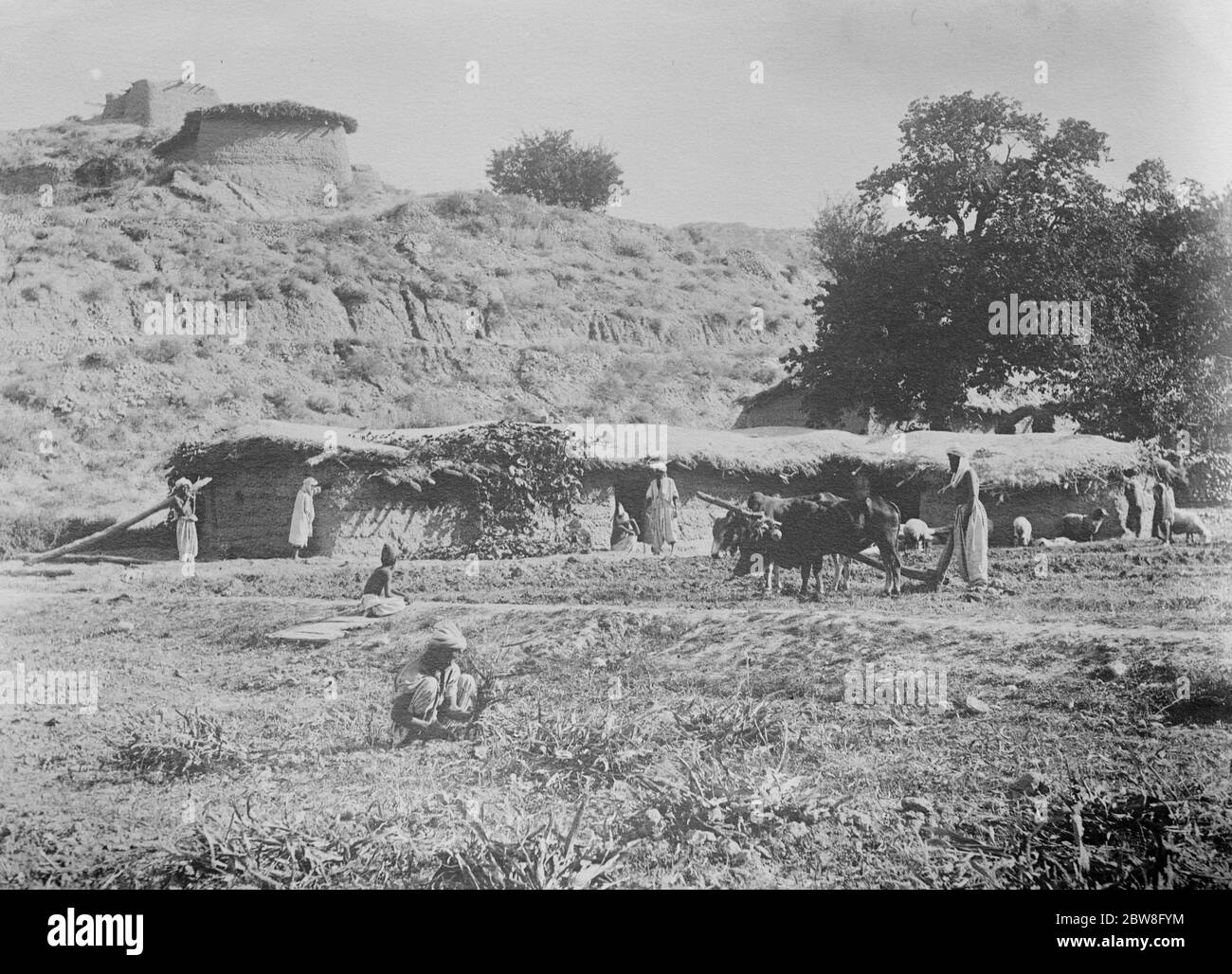 1931 earthquake hi-res stock photography and images - Alamy